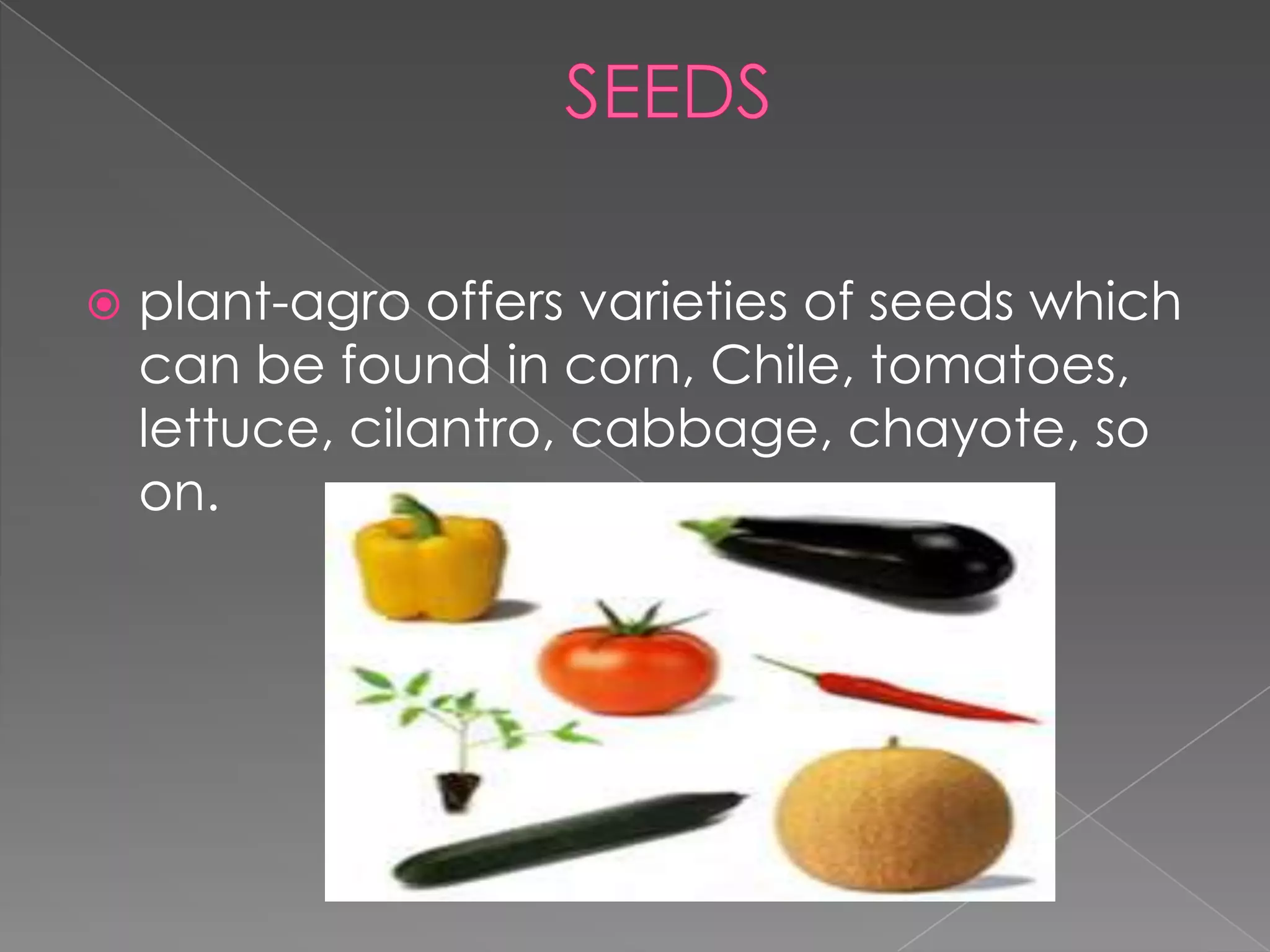 UNIT1. FINAL PROJECT. COMPARING 2 COMPANIES: SEMINIS AND PLANT-AGRO | PPT