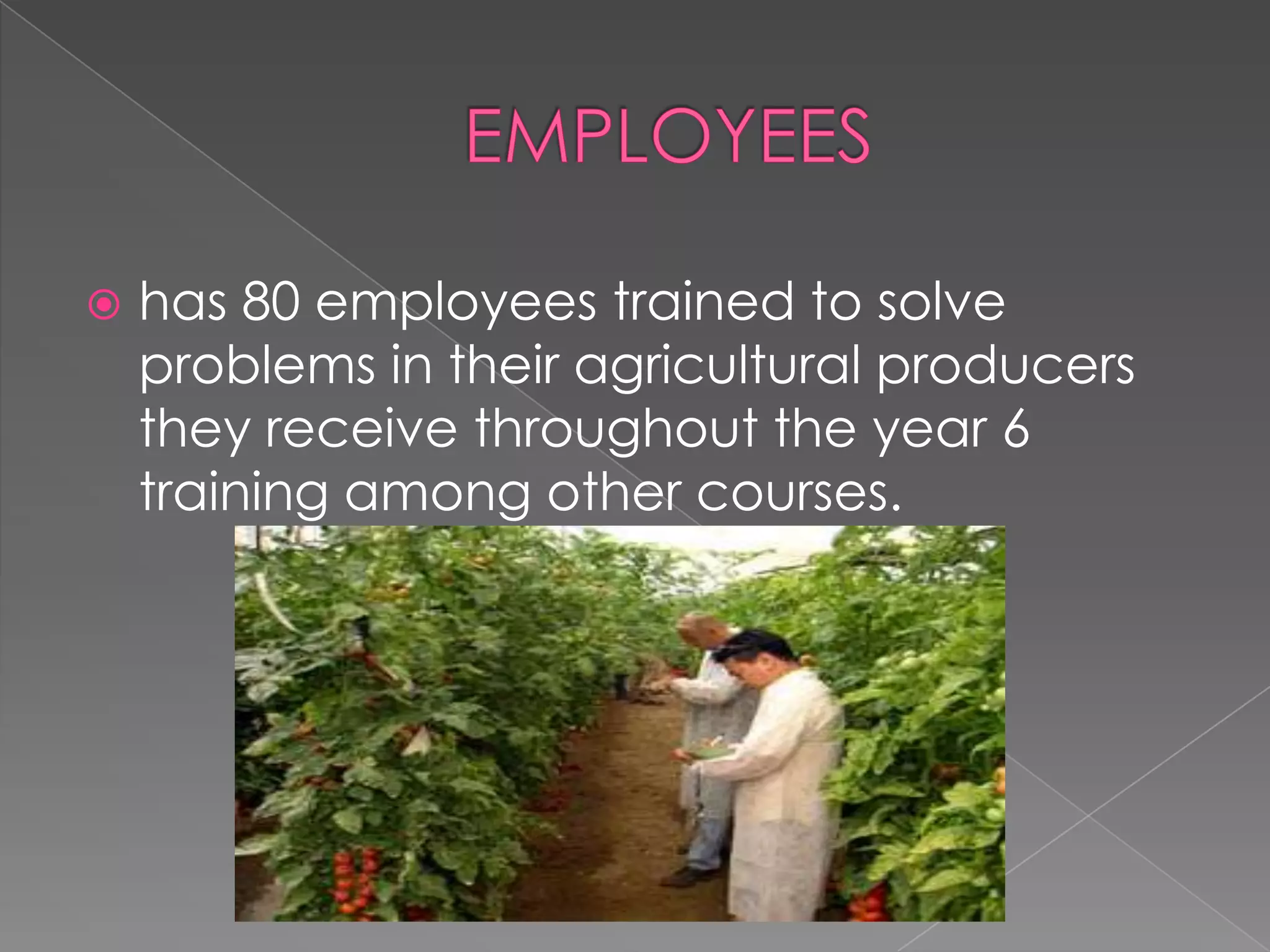 UNIT1. FINAL PROJECT. COMPARING 2 COMPANIES: SEMINIS AND PLANT-AGRO | PPT