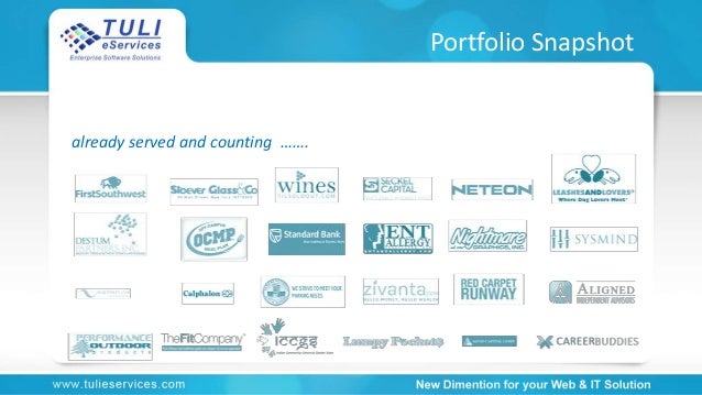Company portfolio snapshot