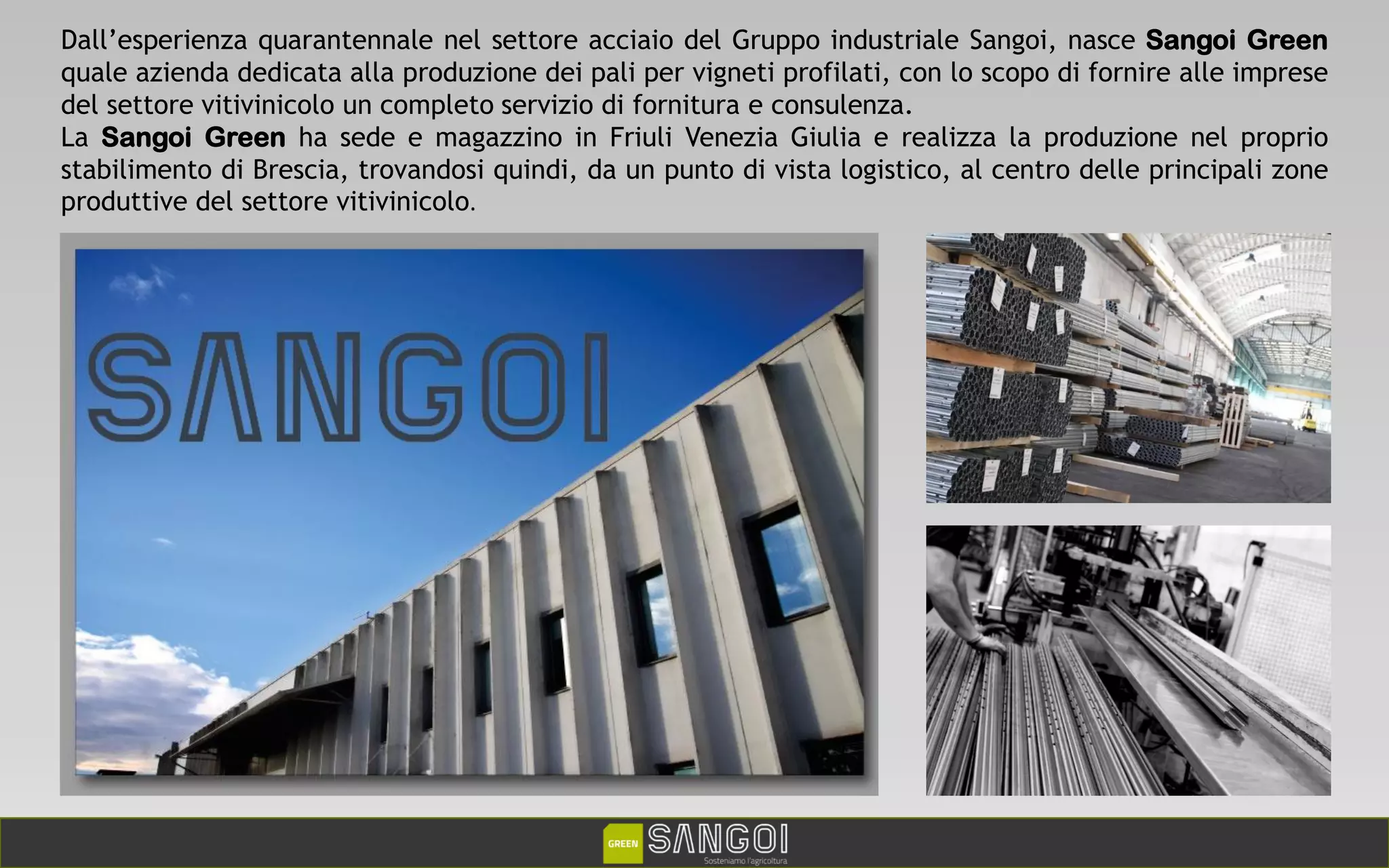 Company profile | PDF