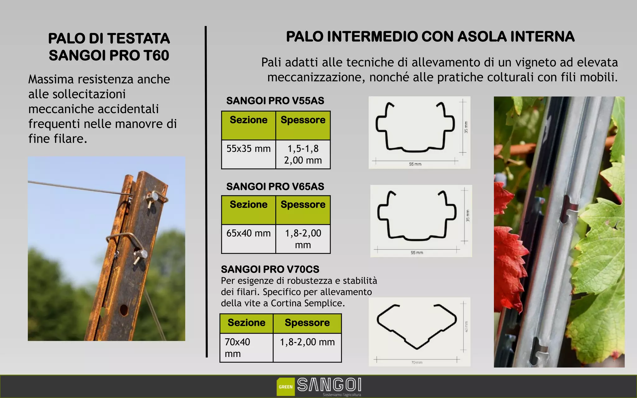 Company profile | PDF