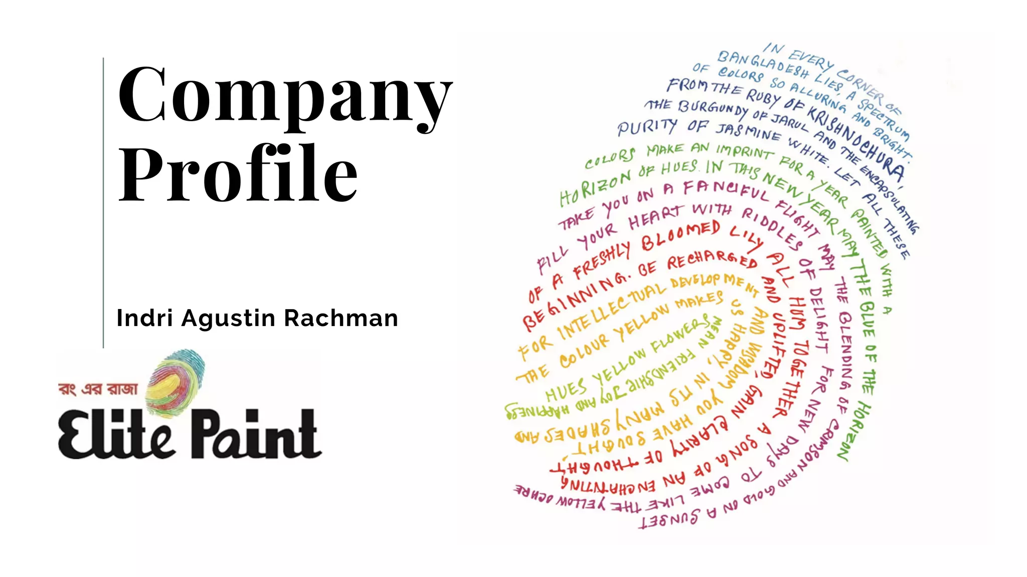 Elite Paint Company Profile | PDF