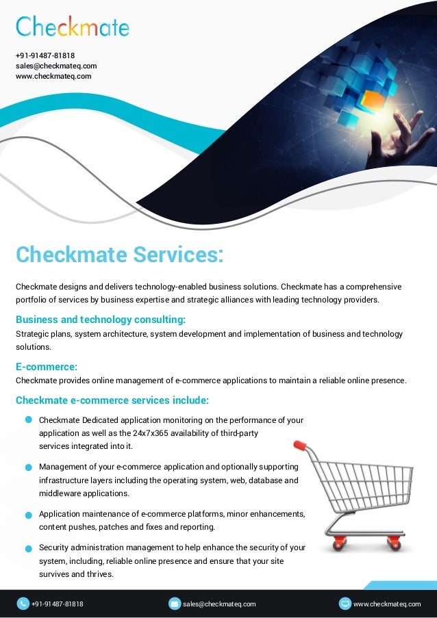 Checkmate-Global-Technology.pdf
