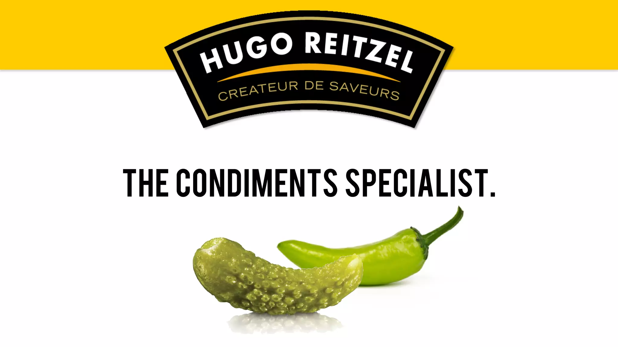 Hugo Reitzel - Company profile | PDF