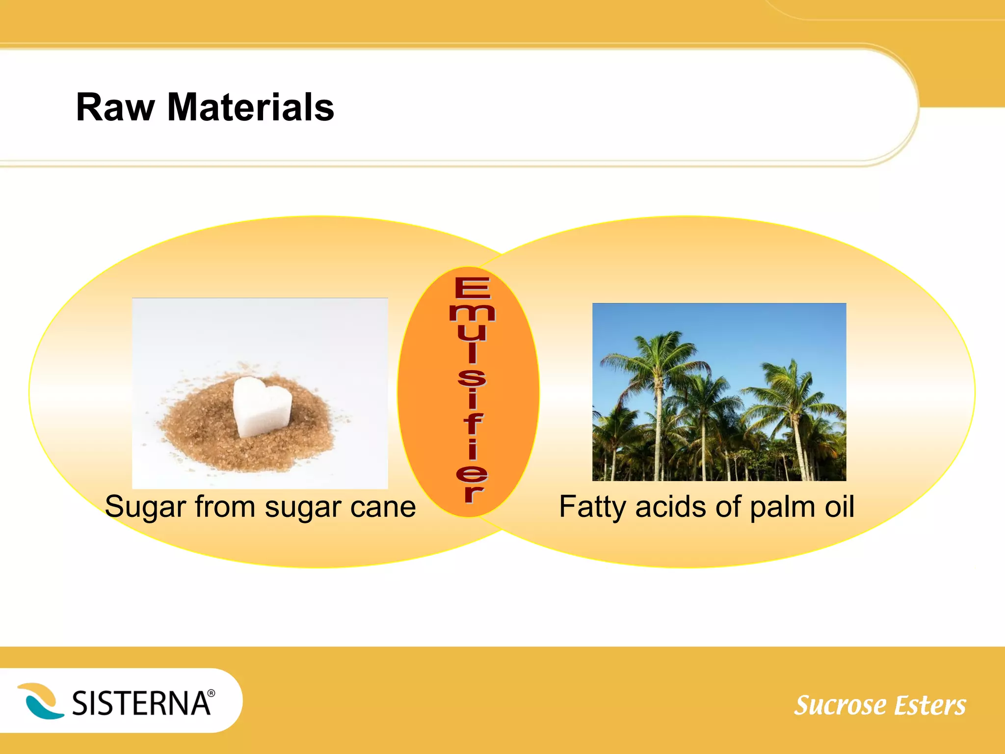 Sisterna company profile | PPT