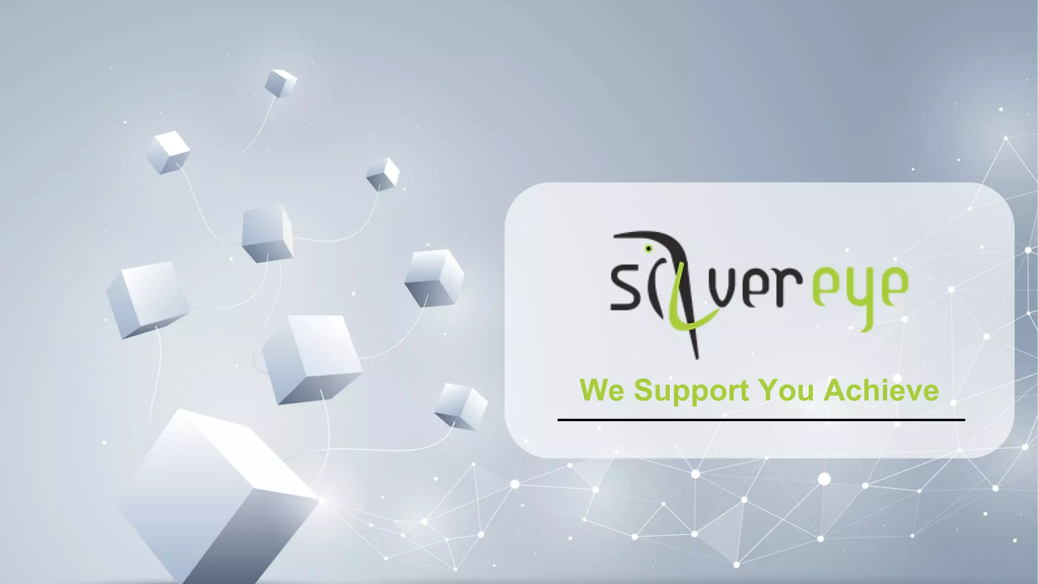 Company Profile - Silvereye.pdf