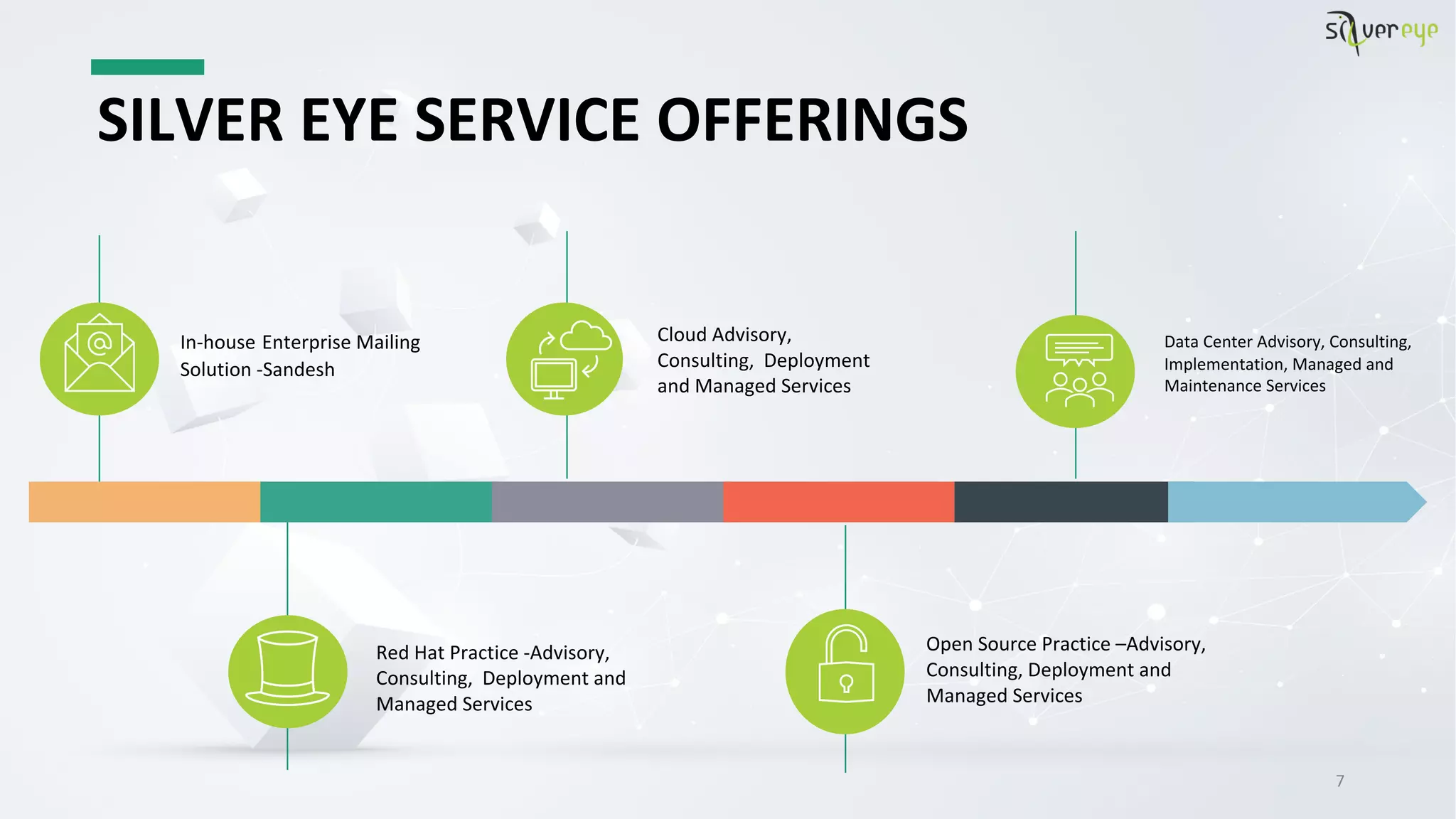 Company Profile - Silvereye.pdf