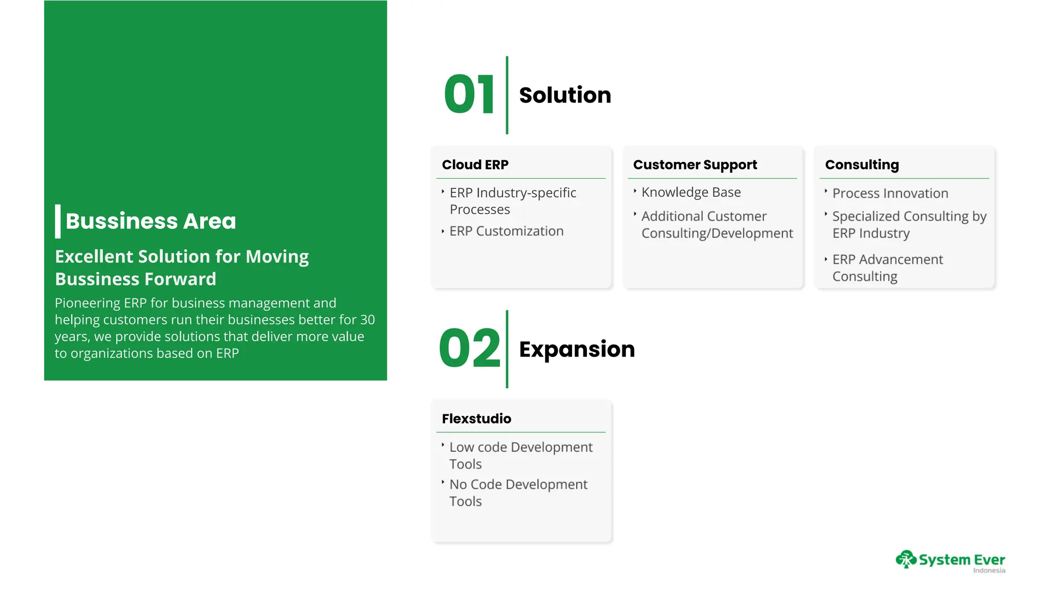 Company Profile - PT. System Ever Indonesia 2024.pdf