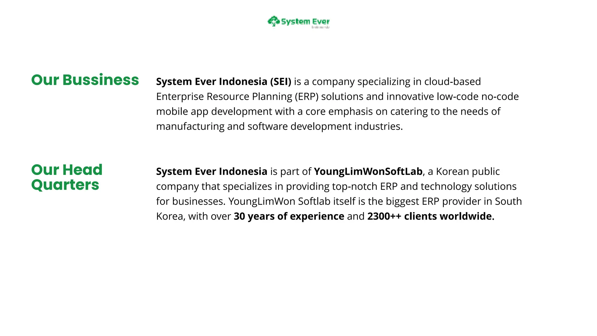 Company Profile - PT. System Ever Indonesia 2024.pdf