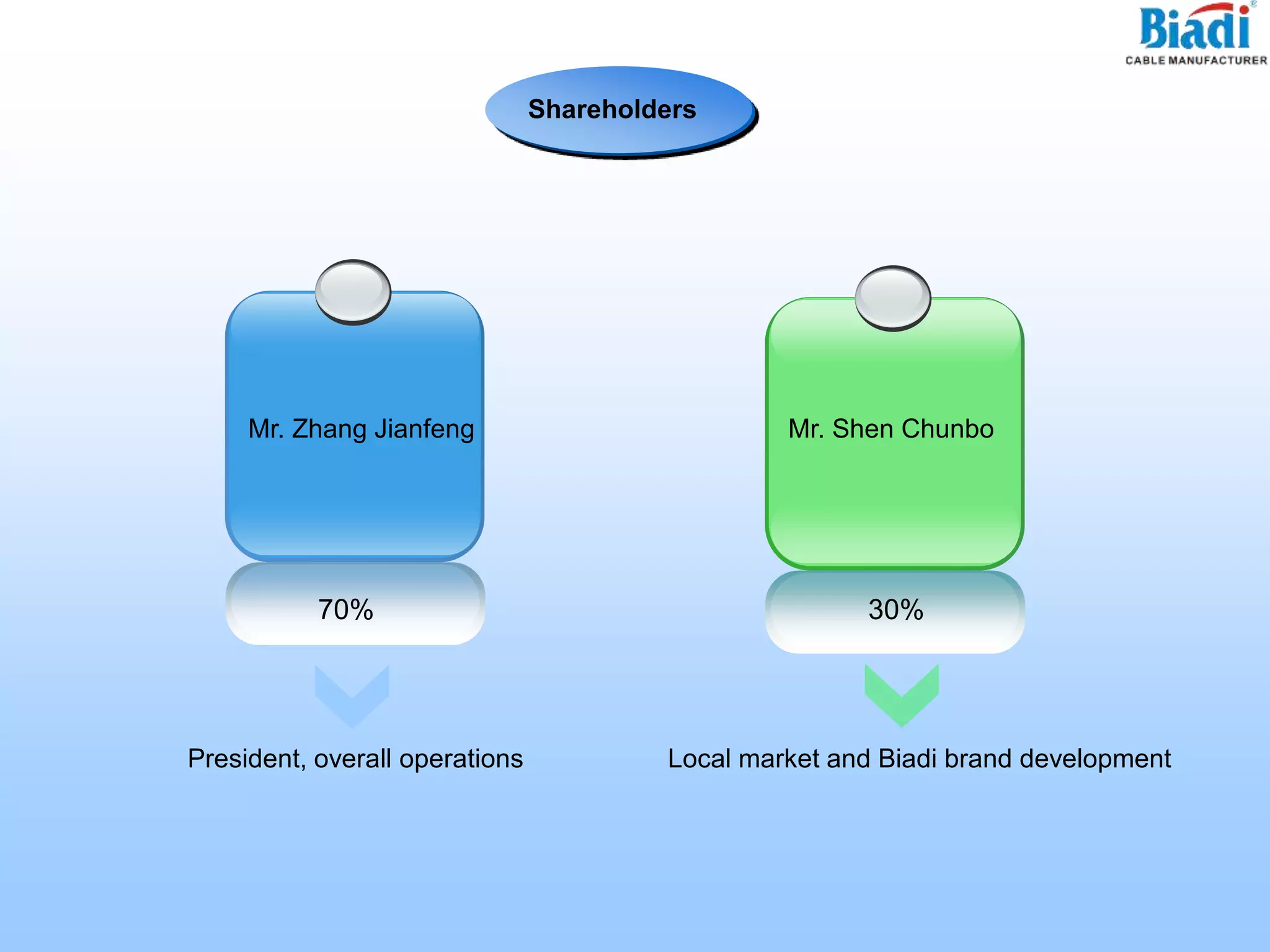 Company profile 2017 of Biadi cable | PPTX