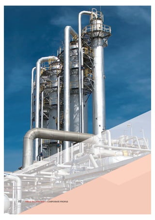 Pre & Tec Your Flange Management Partner | PDF