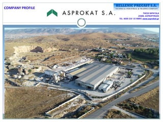 Company profile asprokat_group | PDF