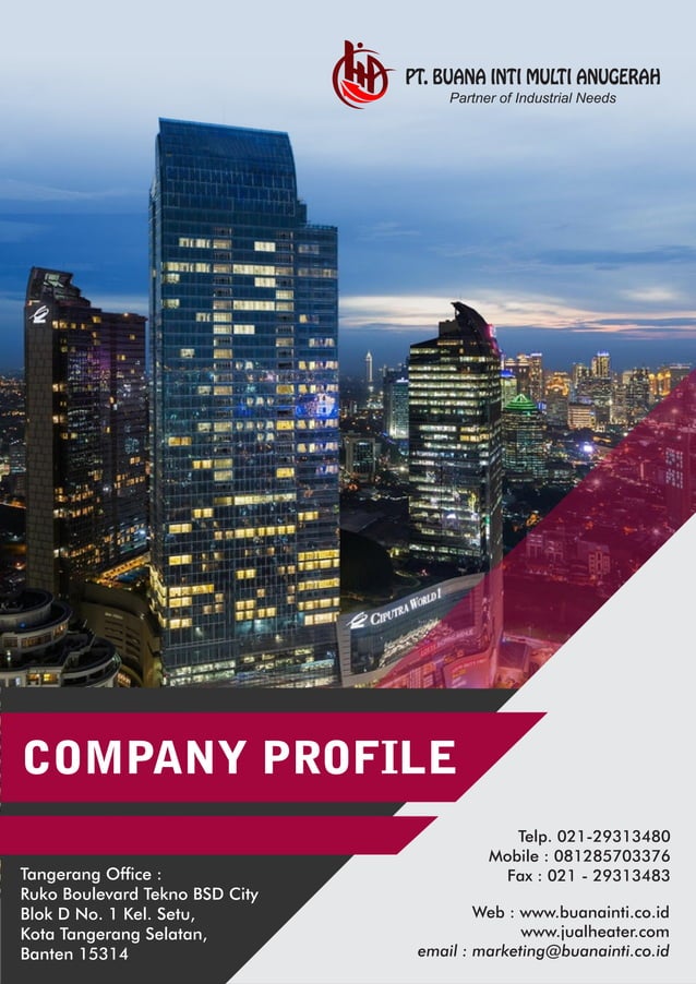COMPANY PROFILE BIMA.pdf