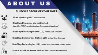 Company Profile_Bluechip Group | PDF