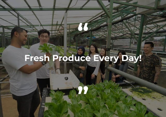 Company profile Eden Farm