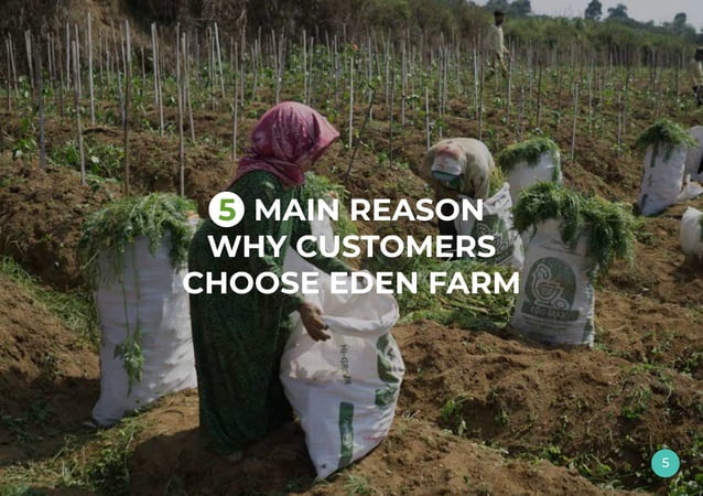 Company profile Eden Farm