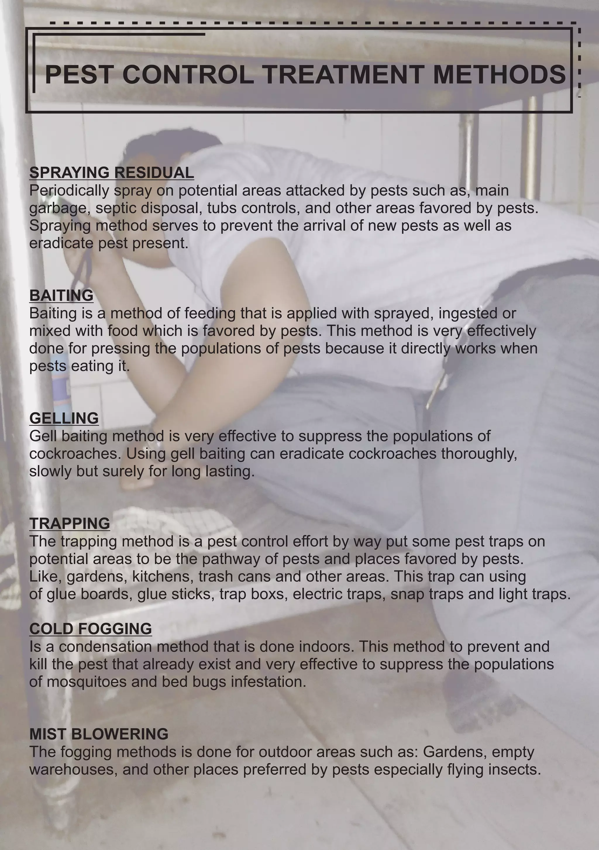 Company Profile (english version) | Eco Pest Control Bali | PDF