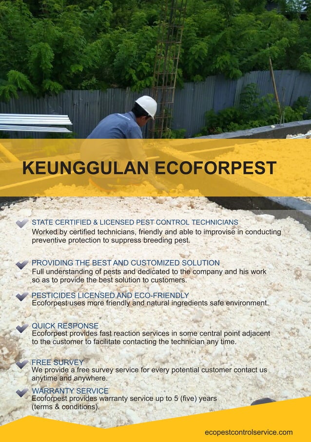Company Profile (english version) | Eco Pest Control Bali | PDF ...