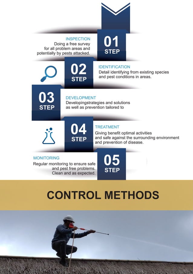 Company Profile (english version) | Eco Pest Control Bali | PDF | Gardening | Home & Garden