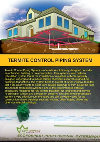 Company Profile (english version) | Eco Pest Control Bali | PDF