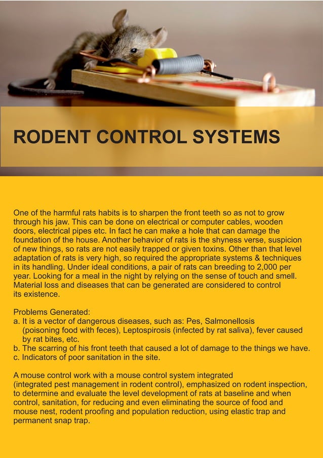 Company Profile (english version) | Eco Pest Control Bali | PDF ...