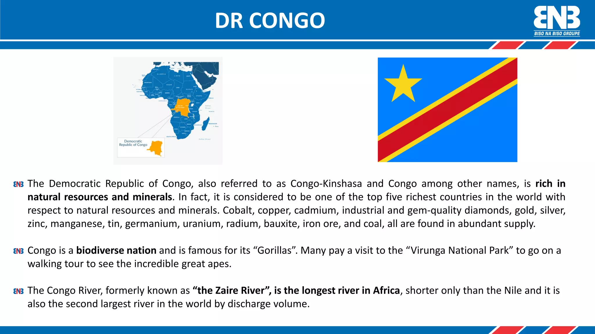 BNB Group - Company Profile | PDF