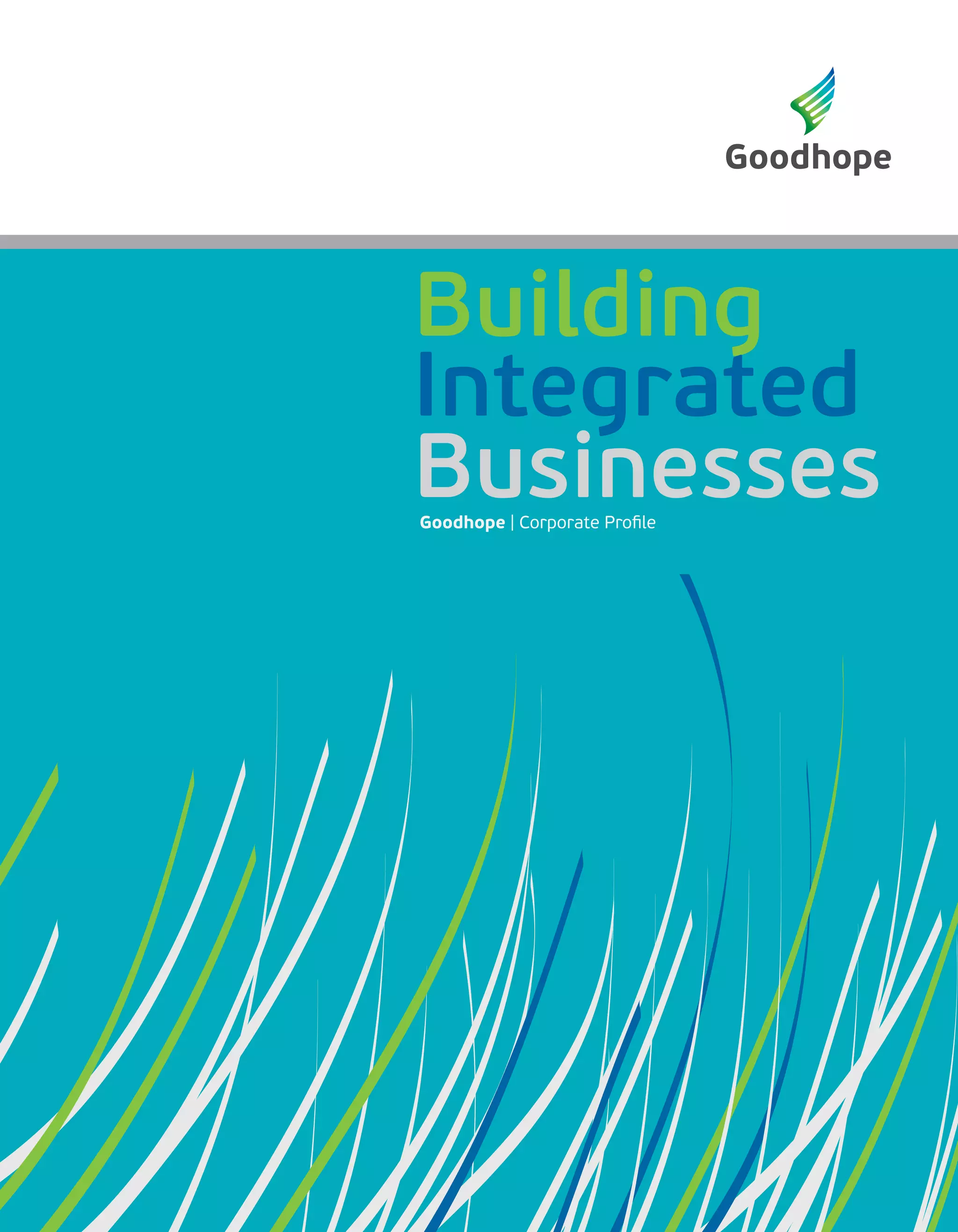 Goodhope Asia Holdings Company Profile | PDF