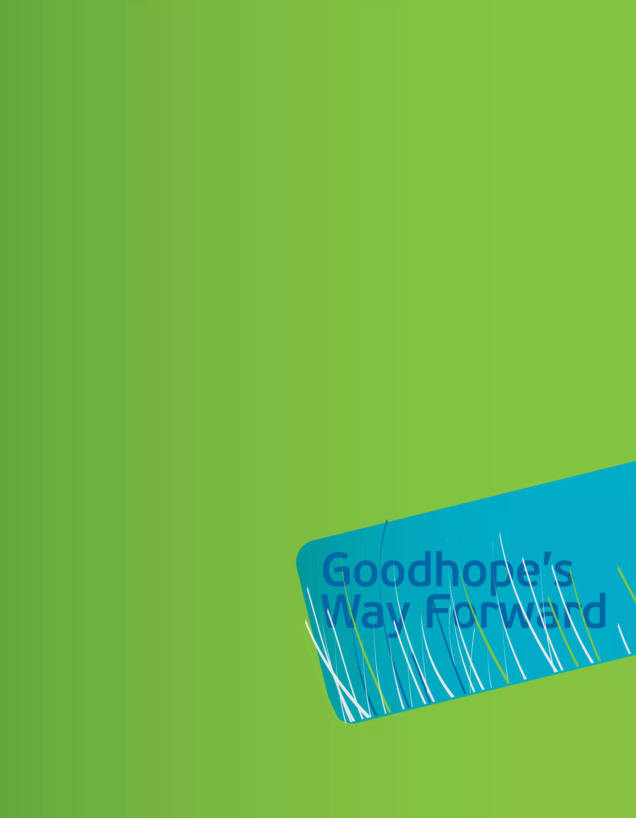 Goodhope Asia Holdings Company Profile | PDF