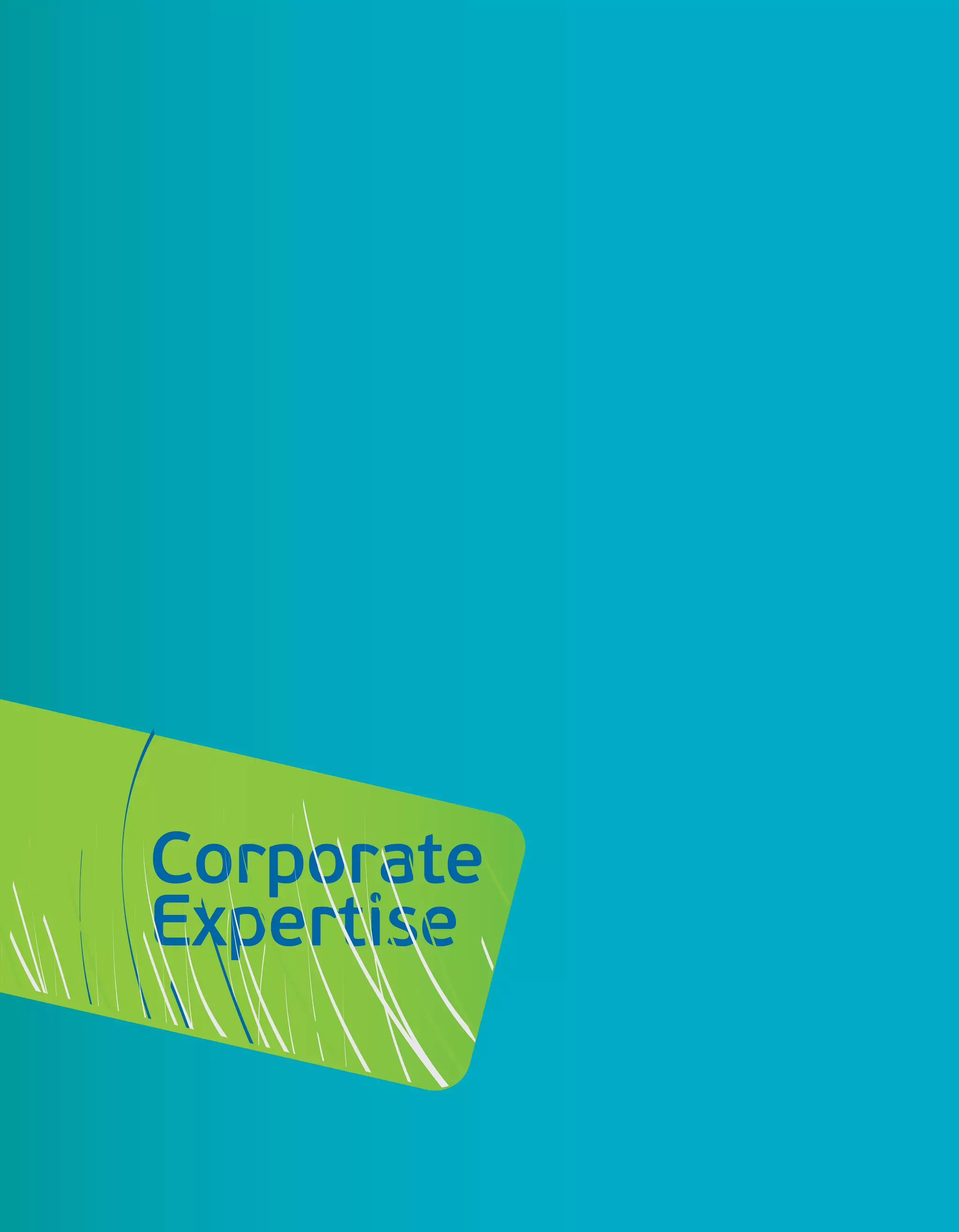 Goodhope Asia Holdings Company Profile | PDF
