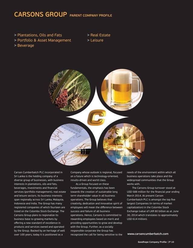Goodhope Asia Holdings Company Profile | PDF