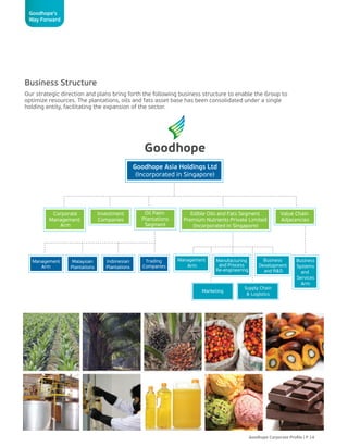 Goodhope Asia Holdings Company Profile | PDF