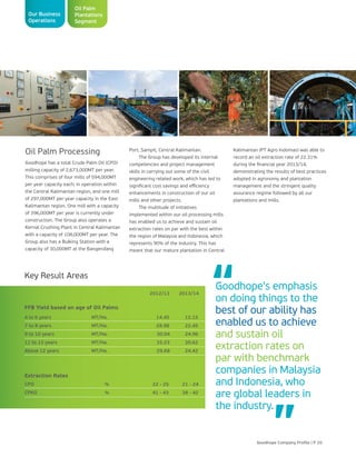 Goodhope Asia Holdings Company Profile | PDF