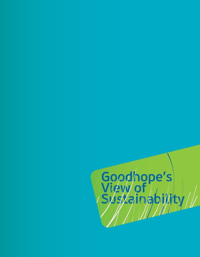 Goodhope Asia Holdings Company Profile | PDF