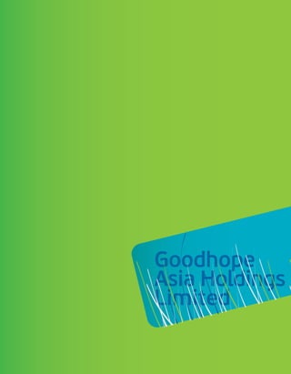 Goodhope Asia Holdings Company Profile | PDF