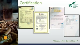 company profile PT Nasional Energi Terbarukan | PDF