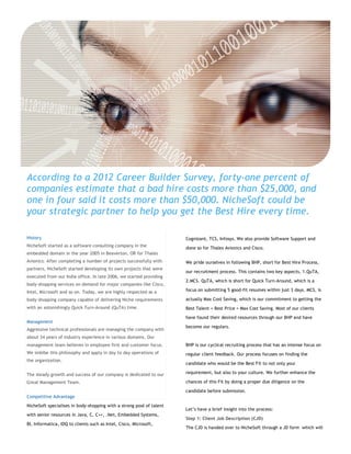 Company Profile Niche Software Solutions INC | PDF