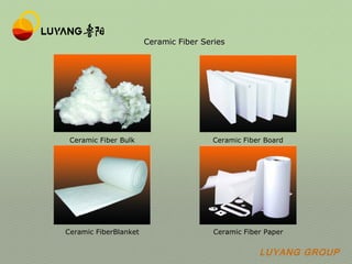 Company profile of Luyang | PPT