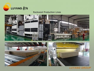 Company profile of Luyang | PPT