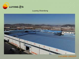 Company profile of Luyang | PPT