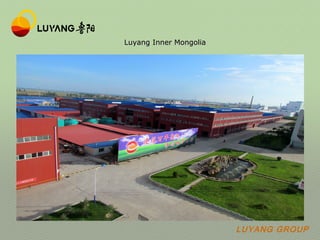 Company profile of Luyang | PPT