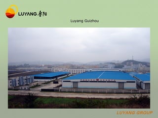 Company profile of Luyang | PPT