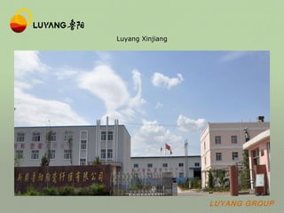 Company profile of Luyang | PPT