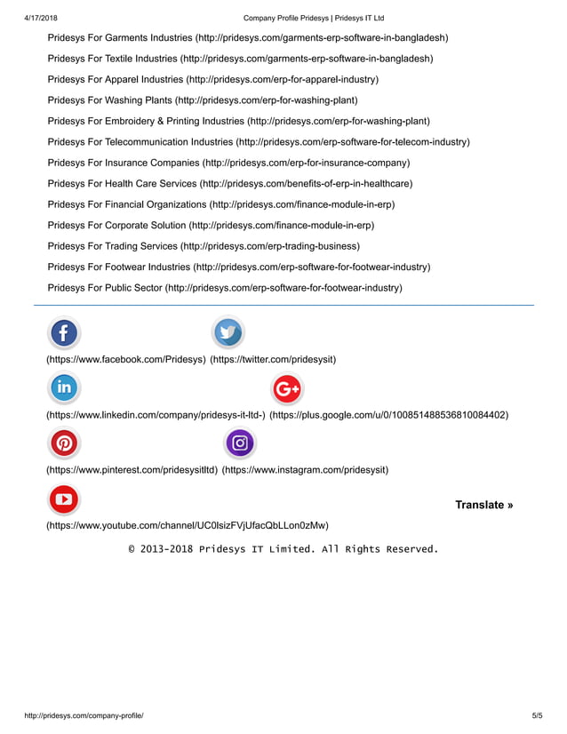 Company Profile Pridesys | Pridesys IT Ltd | PDF