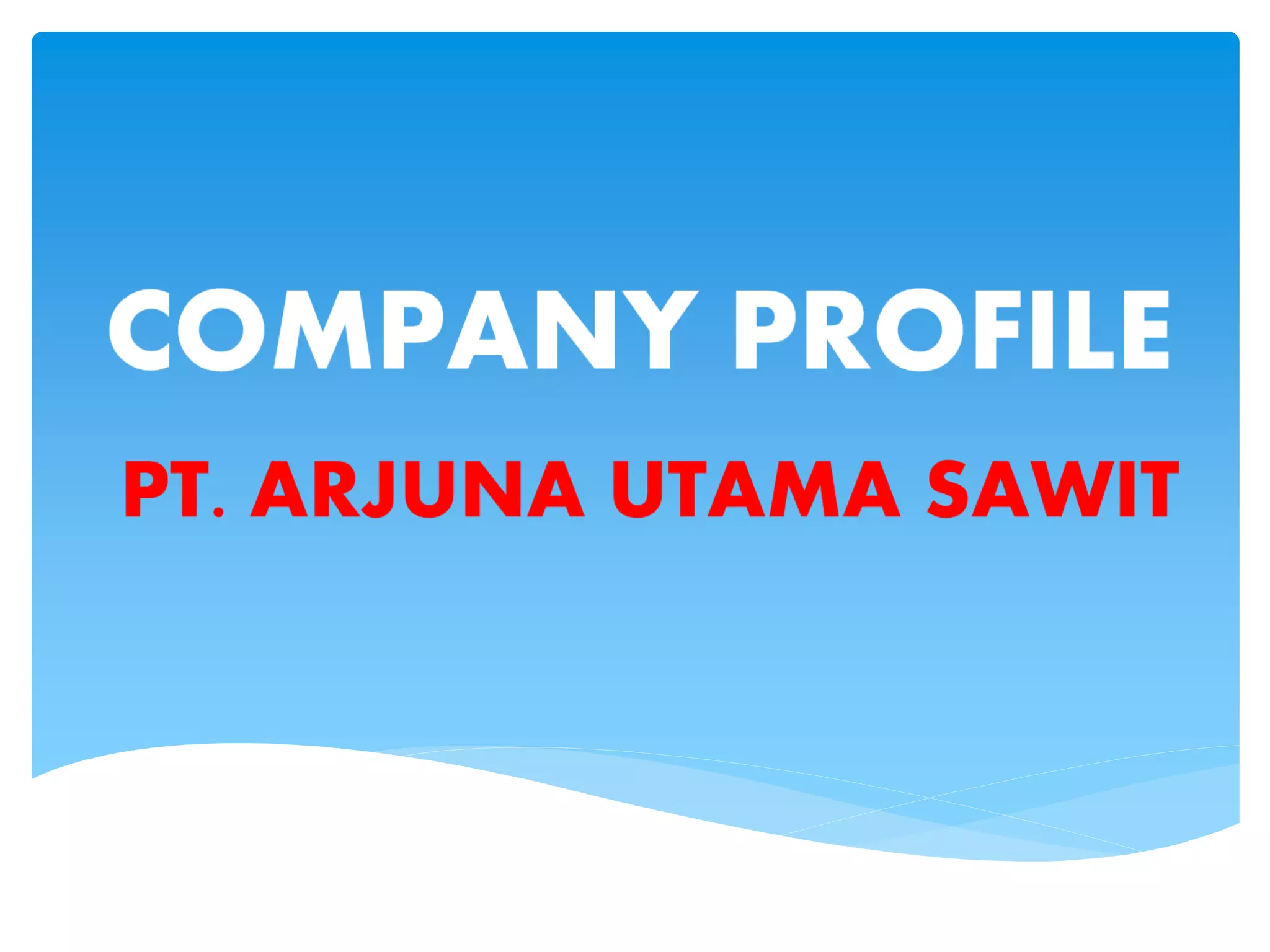 COMPANY PROFILE PT.AUS.pdf