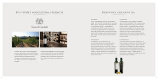 Brochure Toscana Resort Castelfalfi | PDF
