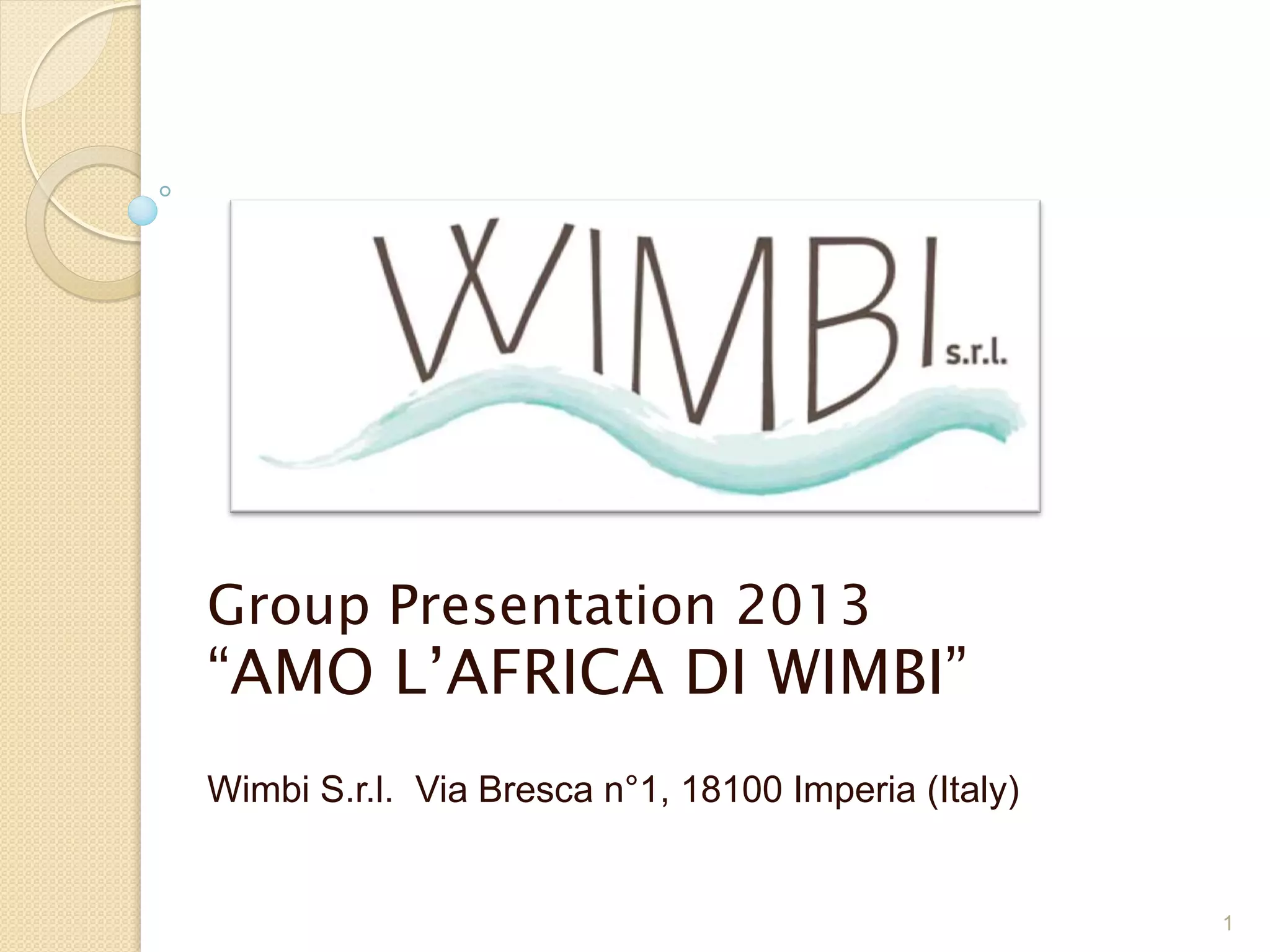 Company profile wimbi generico | PDF