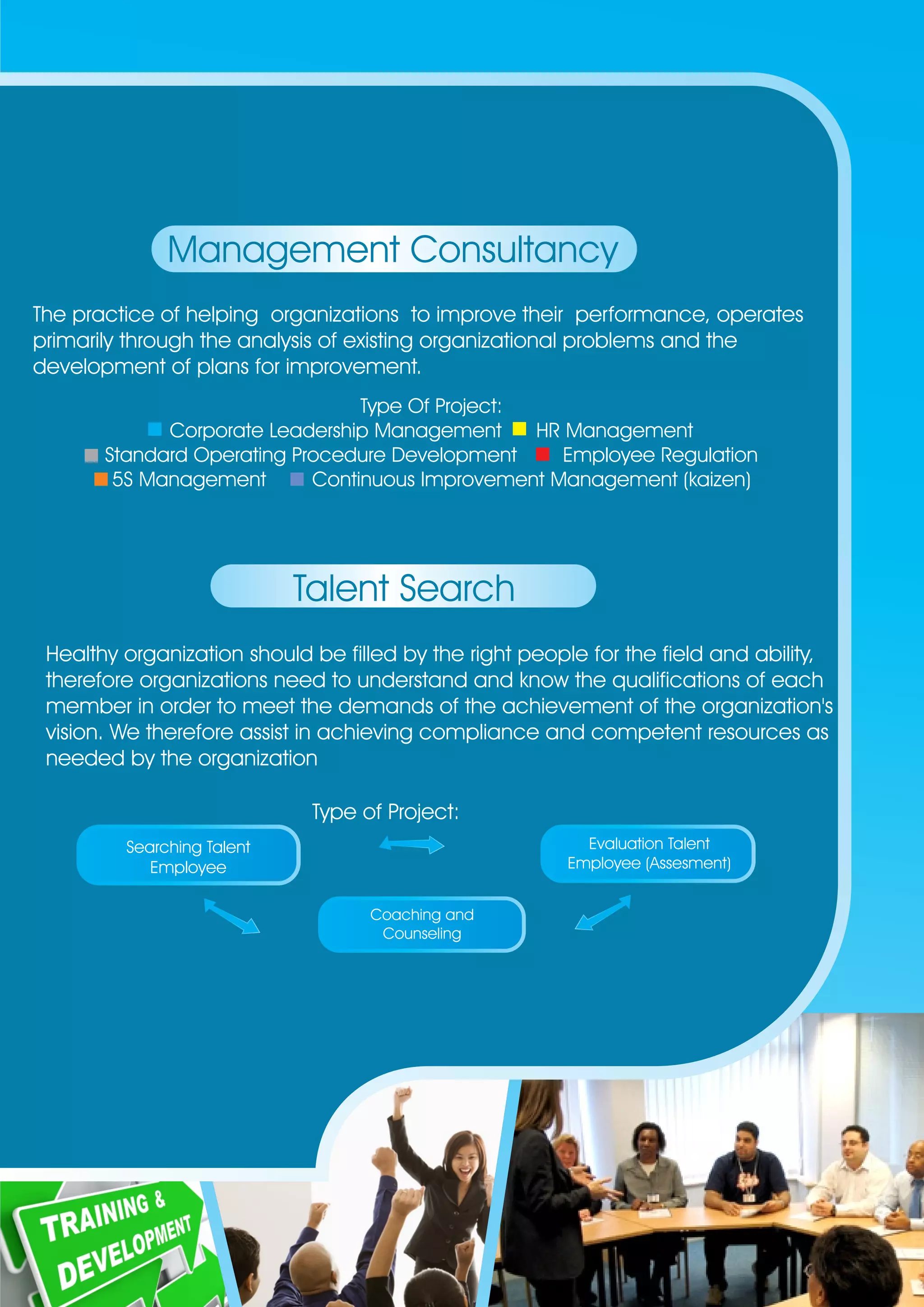HR Consultant | PDF