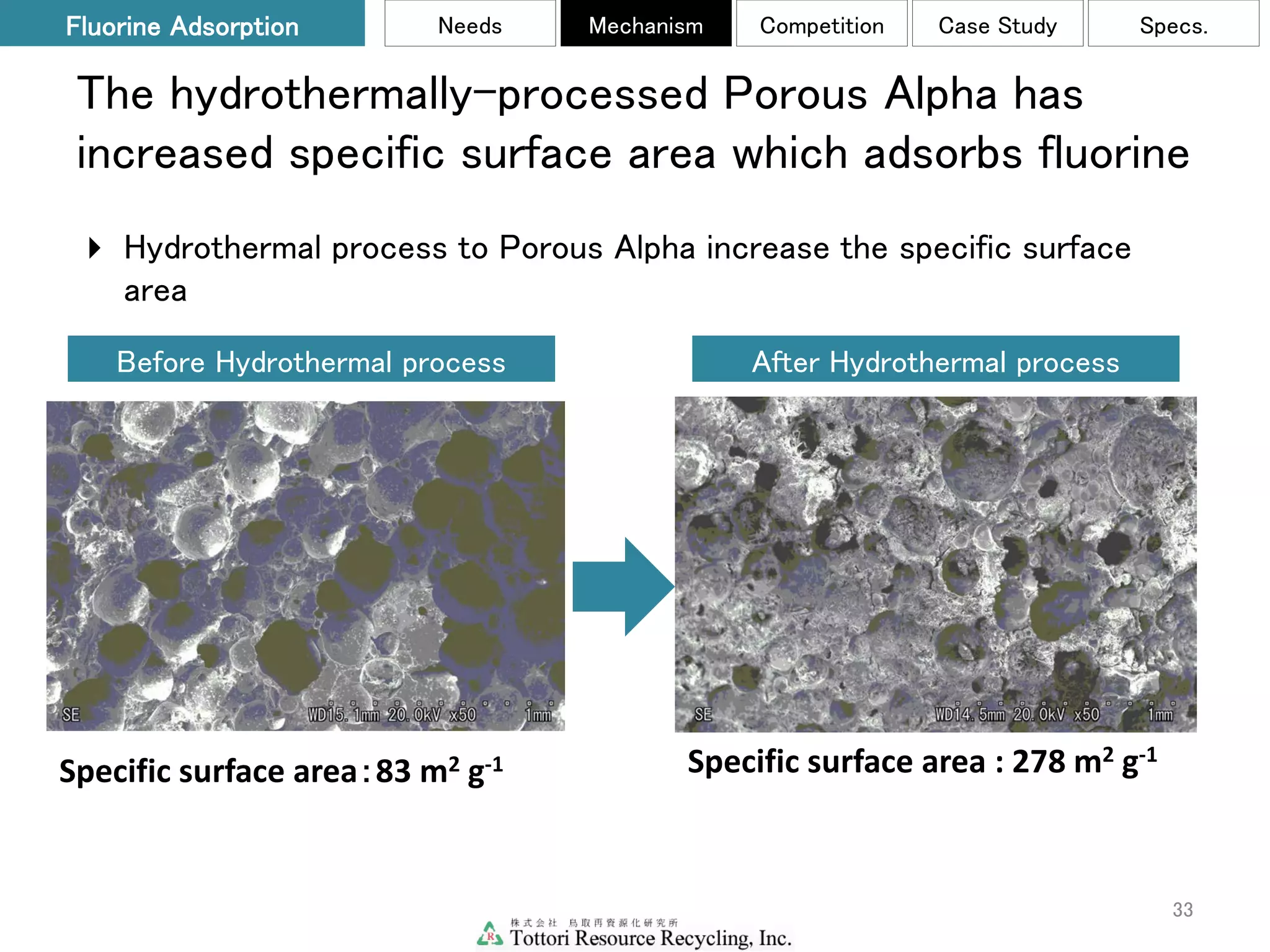 Introduction of company and product "Porous Alpha" (English Version) | PDF