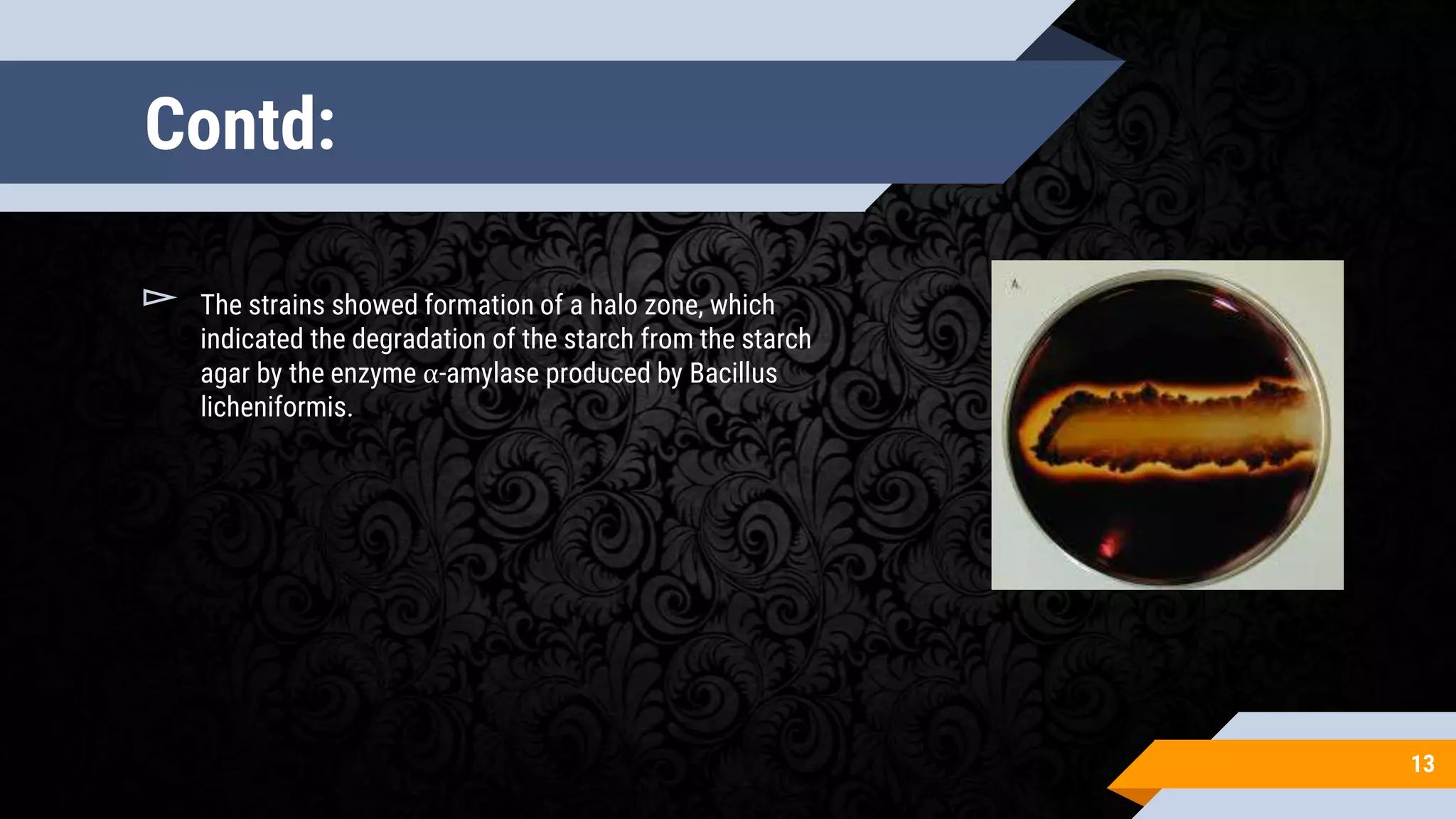 α-AMYLASE production. | PPTX