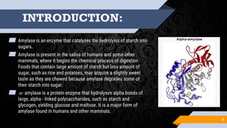 α-AMYLASE production. | PPTX